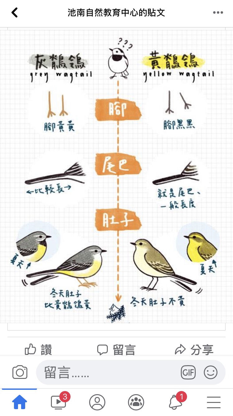 動物檢索/圖鑑/辨識 - MooGoo's Documentations